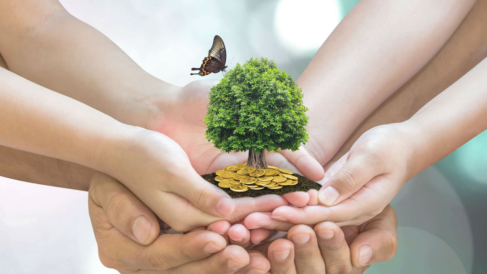 Trust and Estate Planning - Sage Mountain